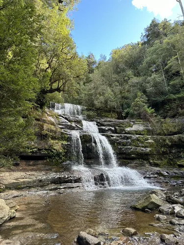 Best Hikes and Trails in Liffey Falls State Reserve | AllTrails