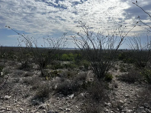 Best Hikes and Trails in Del Rio | AllTrails