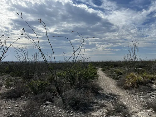 Best Hikes and Trails in Del Rio | AllTrails