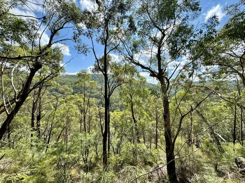 Best Hikes and Trails in Galston | AllTrails