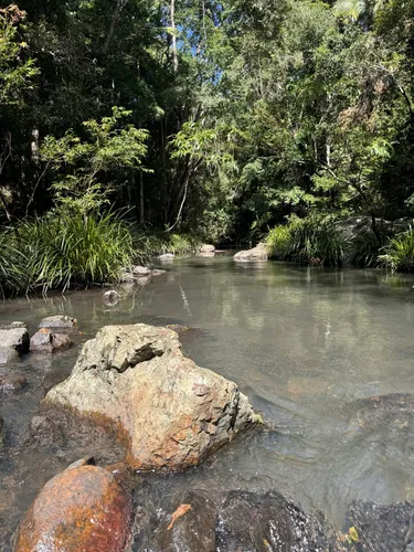 Best No Dogs Trails in Mapleton National Park | AllTrails