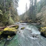 Staircase Rapids Loop, Washington - 2,471 Reviews, Map | AllTrails