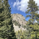 Silver Run Loop Trail, Montana - 567 Reviews, Map | AllTrails