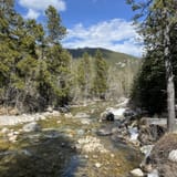 Silver Run Loop Trail, Montana - 567 Reviews, Map | AllTrails