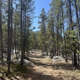 Silver Run Loop Trail, Montana - 567 Reviews, Map | AllTrails