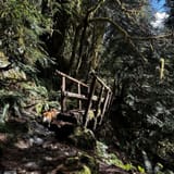 Boulder River Trail, Washington - 1,754 Reviews, Map | AllTrails