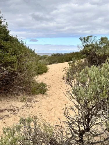 Best Hikes and Trails in Kilcunda Coastal Reserve | AllTrails