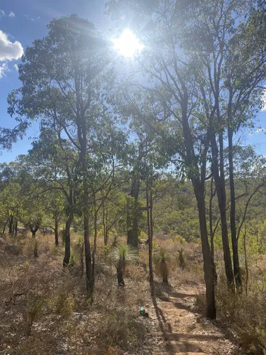 Best Waterfall Trails in Kalamunda National Park | AllTrails
