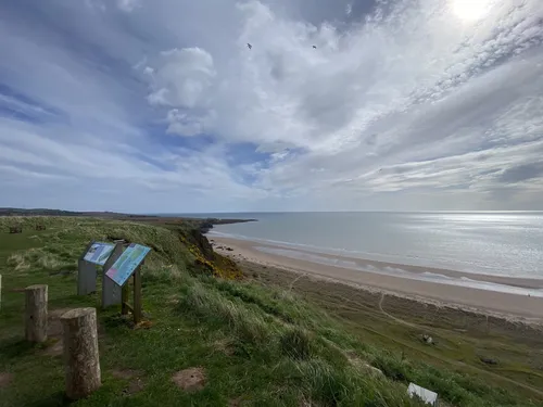 Best Hikes and Trails in St Cyrus National Nature Reserve | AllTrails