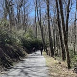 Cone Manor, Bass Lake, and The Maze Loop, North Carolina - 1,419 ...