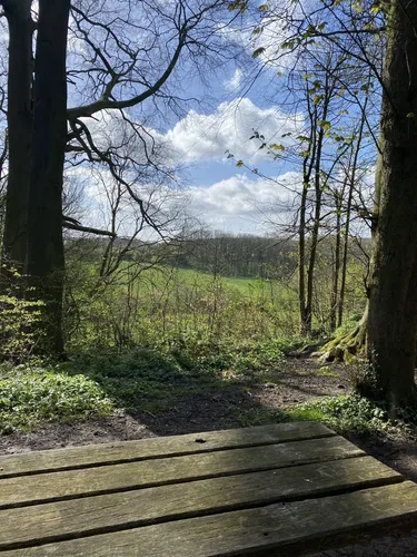 Best Hikes and Trails in Brierley Forest Park | AllTrails