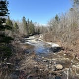Lester River Trail and Amity East, Minnesota - 941 Reviews, Map | AllTrails