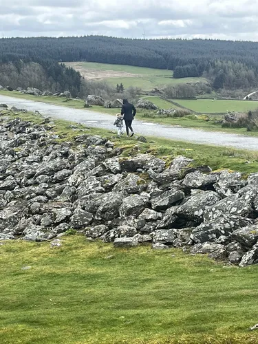 Best Hikes and Trails in Hafod Elwy National Nature Reserve | AllTrails