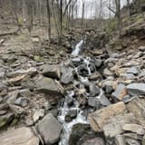 Allison Park Loop, New Jersey - 954 Reviews, Map | AllTrails