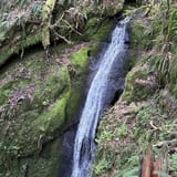 Chuckanut Falls, Washington - 640 Reviews, Map | AllTrails