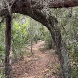 Doris Leeper Trail, Florida - 582 Reviews, Map | AllTrails