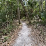 Doris Leeper Trail, Florida - 582 Reviews, Map | AllTrails