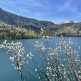 Alpsee Loop, Bavaria, Germany - 290 Reviews, Map | AllTrails