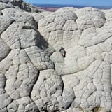White Pocket Trail, Arizona - 875 Reviews, Map | AllTrails