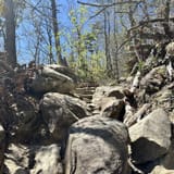 Table Rock Trail, South Carolina - 4,177 Reviews, Map | AllTrails