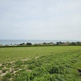 Kingsdown and Walmer Circular, Kent, England - 67 Reviews, Map | AllTrails