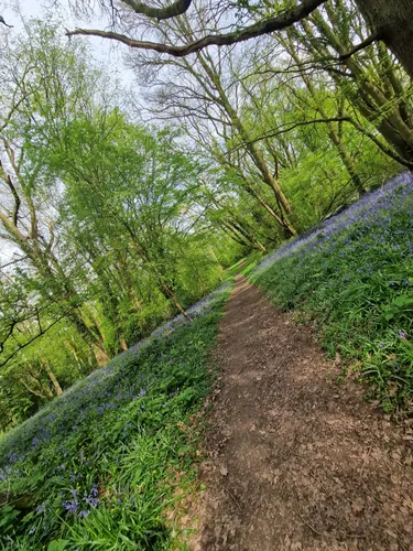 Best Hikes and Trails in Willow Park | AllTrails