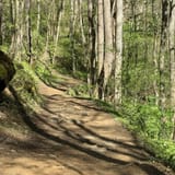 Laurel Run Trail, Tennessee - 715 Reviews, Map | AllTrails