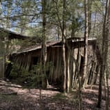 Laurel Run Trail, Tennessee - 715 Reviews, Map | AllTrails