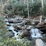 Ramsey Cascades Trail, Tennessee - 2,347 Reviews, Map | AllTrails