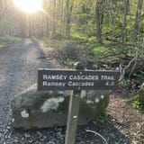 Ramsey Cascades Trail, Tennessee - 2,347 Reviews, Map | AllTrails