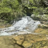 Walls of Jericho Trail, Alabama - 2,324 Reviews, Map | AllTrails