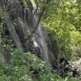 Gorman Falls Trail, Texas - 1,125 Reviews, Map | AllTrails