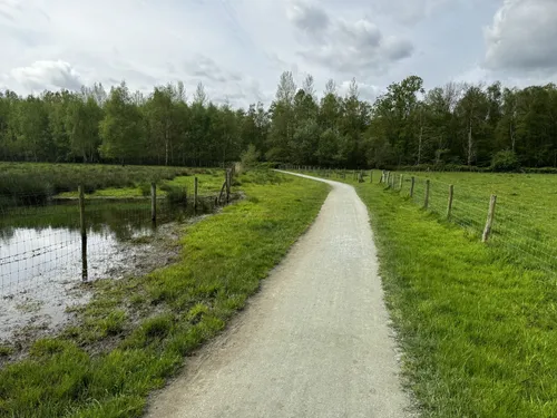 Best River Trails in Blaarmeersen | AllTrails