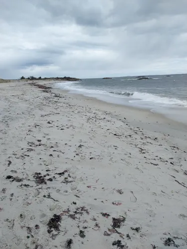 Best Hikes and Trails in Waterford Beach Park | AllTrails