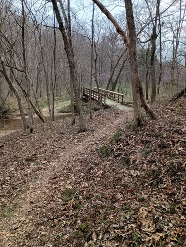 Best Lake Trails in Dover | AllTrails