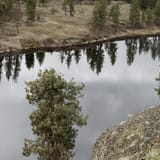 Hog Lake Loop, Washington - 264 Reviews, Map | AllTrails