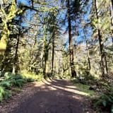 Point Defiance Park Outer Loop, Washington - 3,870 Reviews, Map | AllTrails