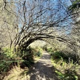 Point Defiance Park Outer Loop, Washington - 3,870 Reviews, Map | AllTrails