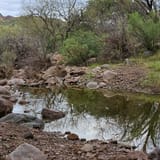 Second Water and Hackberry Spring Loop, Arizona - 1,974 Reviews, Map ...