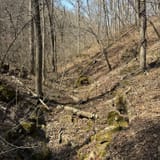Greer Spring Trail, Missouri - 338 Reviews, Map | AllTrails