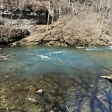 Greer Spring Trail, Missouri - 338 Reviews, Map | AllTrails