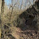 Greer Spring Trail, Missouri - 338 Reviews, Map | AllTrails