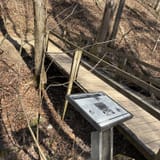Greer Spring Trail, Missouri - 338 Reviews, Map | AllTrails