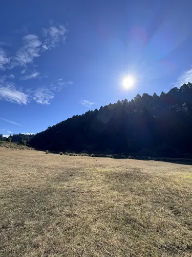 10 Best Forest Trails in Insurgente Miguel Hidalgo y Costilla - La ...