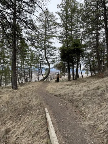 Best Forest Trails in Lone Pine State Park | AllTrails