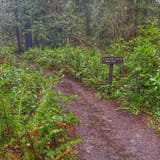 Berry Glen and Lady Bird Grove Trail , California - 390 Reviews, Map ...