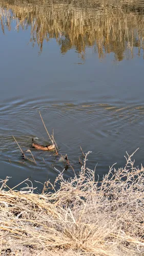 Best Wheelchair Friendly Trails in Barr Lake State Park | AllTrails