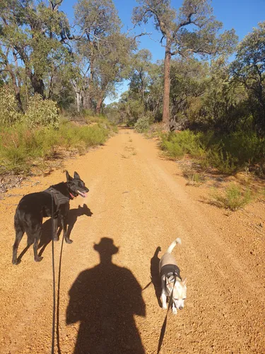 Best Hikes and Trails in Dawn Atwell Reserve | AllTrails