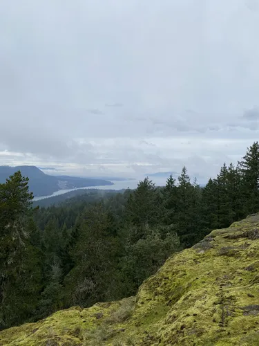 Best Walking Trails in Mount Work Regional Park | AllTrails