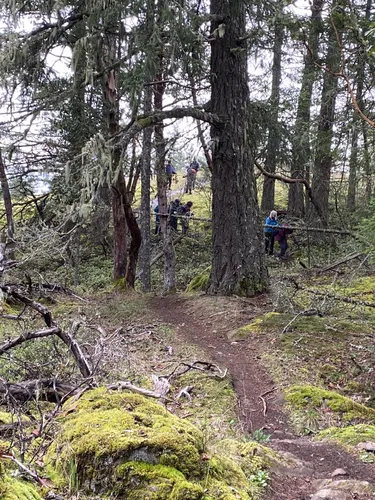 Best Wild Flowers Trails in Mount Work Regional Park | AllTrails